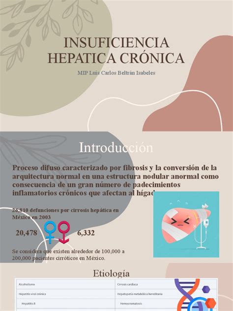 Insuficiencia Hepatica Crónica Pdf Cirrosis Órgano Anatomía