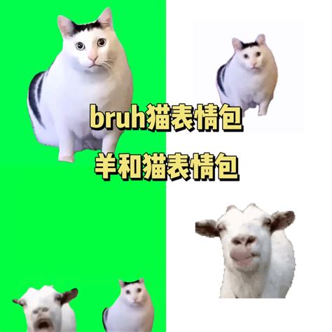 Huh猫梗图 抖音