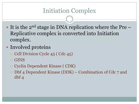 Dna Replication In Eukaryotes Pptx