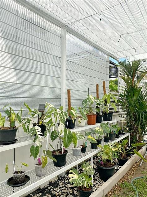 Diy “โรงเรือนปลูกต้นไม้” เรียบง่ายตามสไตล์มินิมอล สร้างด้วยงบหมื่นต้น ๆ