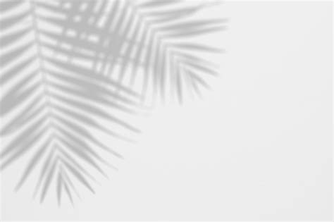 Psd Background более 256 000 качественных бесплатных Psd шаблонов