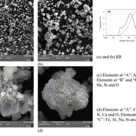 Br Morphology Edx Analysis And Particle Size Distribution Download