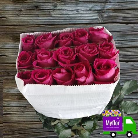 Rosas Fiusha Flores De Mayoreo