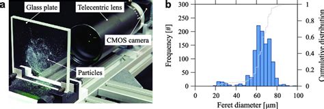 Particle Size Distribution By Image Measurement A Observation Of