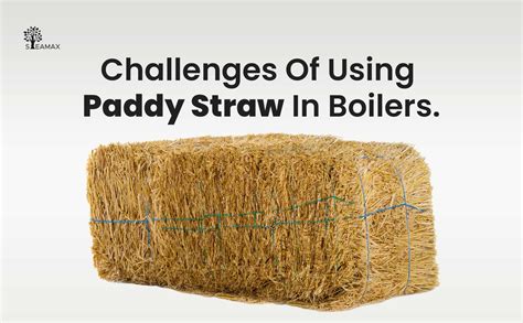 Challenges Of Paddy Straw Why Astillas Is The Superior Fuel Steamaxindia