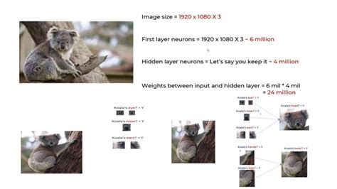 Optimal Deep Learning Model For Classification Of Lung Cancer On Ct Images Ppt