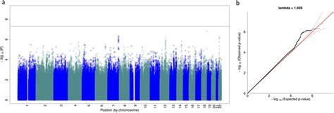 Meta Analysis Results From Evaluation For Type I Error The Manhattan