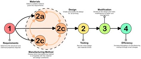 Utilizing Additive Manufacturing To Produce Organ Mimics And Imaging