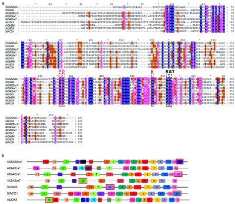 sequence alignment and conserved motif analysis of functionally