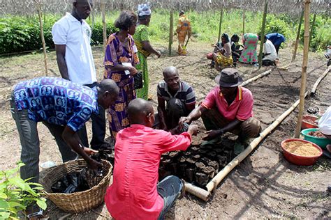 Chainsaw Milling Project Undertakes Capacity Building Activities To