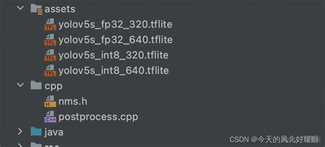 python yolov8 tensorrt加速 yolo5 tensorflow mob6454cc79cd11的技术博客 51cto博客