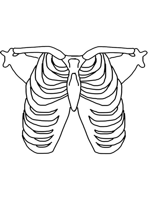 Lembaran Model Sains Peparu Tahun 4 Dihujung Pen
