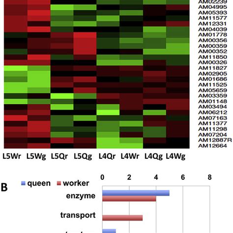 microarray results on differentially expressed genes degs in honey