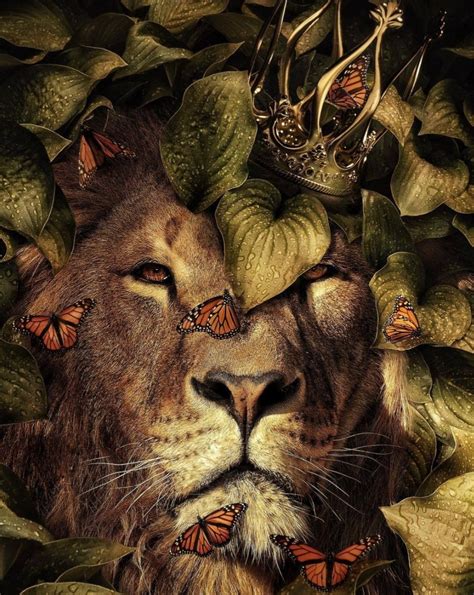 X HΣΣsΨs ImprΣssiΩΠs — Marcel Van Luit