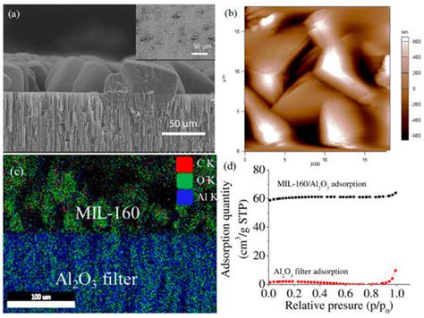 active nanointerfaces based on enzyme carbonic anhydrase and metal