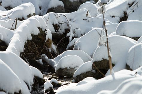 Зима в планината