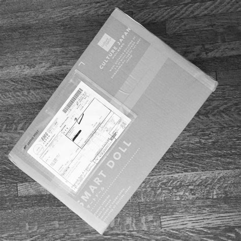 Chitose Is Finally Mine Smartdoll Chitose Smart Doll Chitose