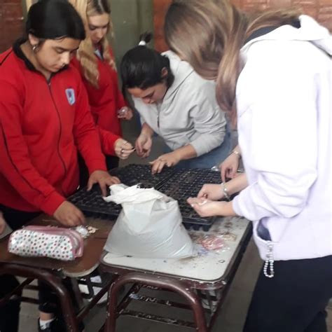 Articulación Con Feyes