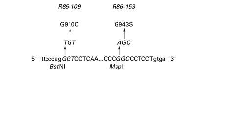 Identification Of The Col2a1 Mutation In Patients R85 109 And R86 153