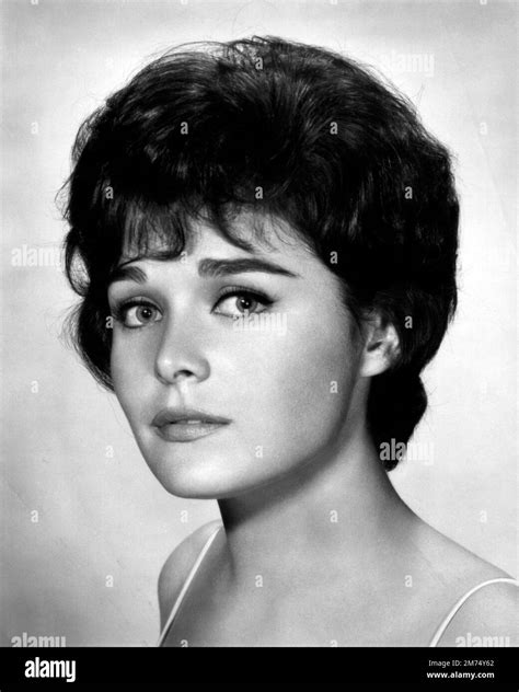 Joan Blackman Then And Now