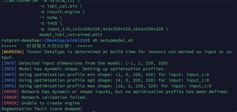 [error] network has dynamic or shape inputs but no optimization