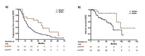 Apccc 2022 Can Biology Help Inform Treatment Decisions In The Management Of Mhspc