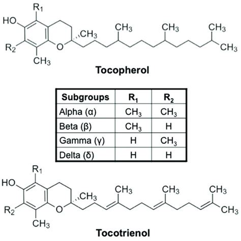 Chemical Structures Of Tocopherol And Tocotrienol The Different Download Scientific Diagram