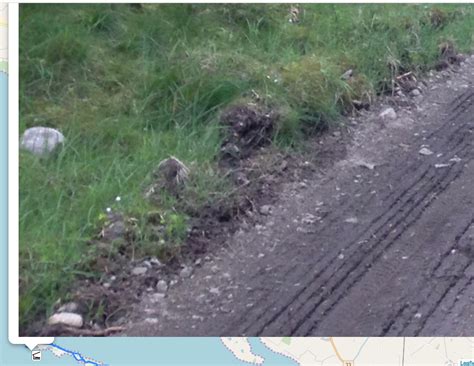 Leaflet Adjust Image Size In Popup To Fit Inside Popup Container Geographic Information