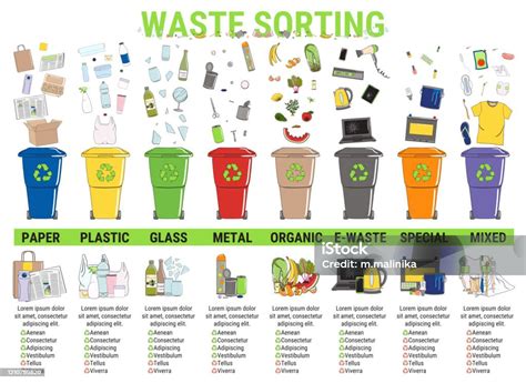 Waste Infographic Sorting Garbage Segregation And Recycling Infographics Stock Illustration