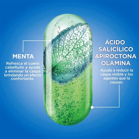 Shampoo Fructis Anticaspa Cuero Cabelludo Graso Garnier Chile