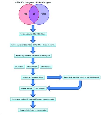 The Flow Chart Summarizing The Process Of This Study Wgcna Weighted