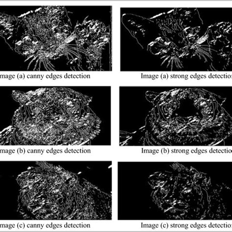 Edge Detection For Image B By Using Canny Method Download