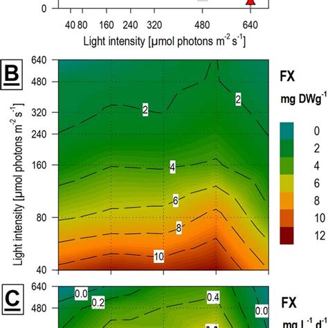 Growth And Productivity Of Biomass Of H Magna Gained By Weibull Growth Download Scientific