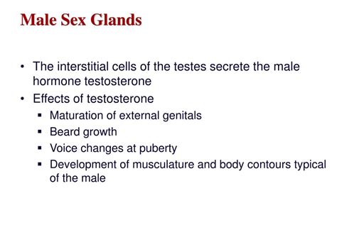 Ppt The Endocrine System Powerpoint Presentation Free Download Id