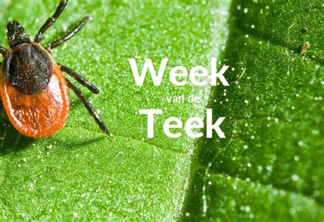 De Week Van De Teek Een Terugblik