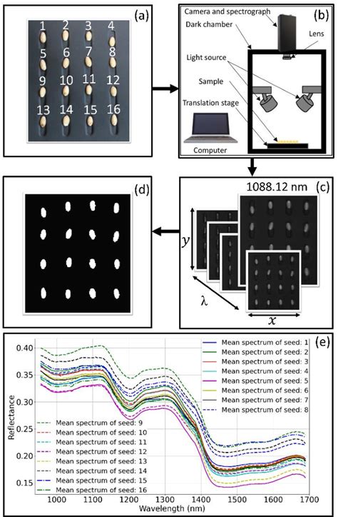 Figure 2 From Combining Near Infrared Hyperspectral Imaging And Ann For Varietal Classification