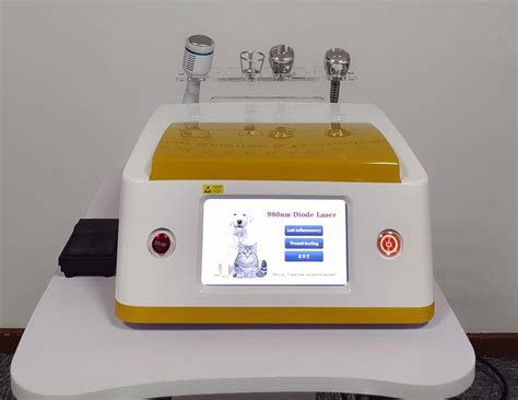 Portable Animal Ears Oral Treatment Osteoarthritis Veterinary Laser