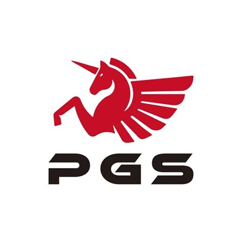 Pgs Store каталог товаров магазина на Aliexpress