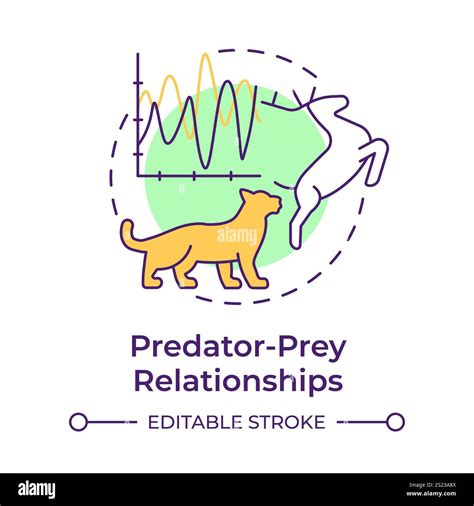 Predator Prey Relationships Multi Color Concept Icon Stock Vector Image