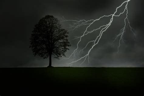 Blitz verfehlt Baum Foto & Bild | fotomontage, landschaften, digiart ...