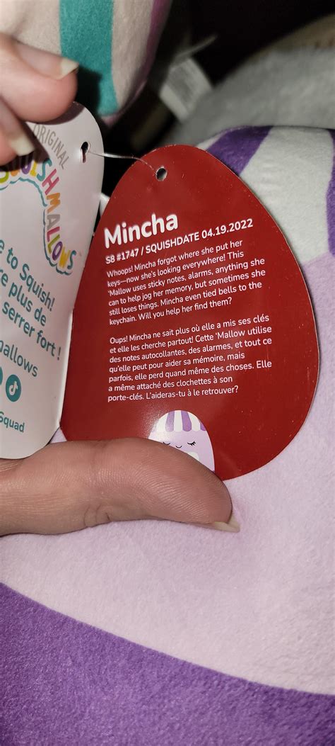 Mincha Is My Spirit Squish Bro And Ries Birthday Is Next To Mine Rsquishmallow