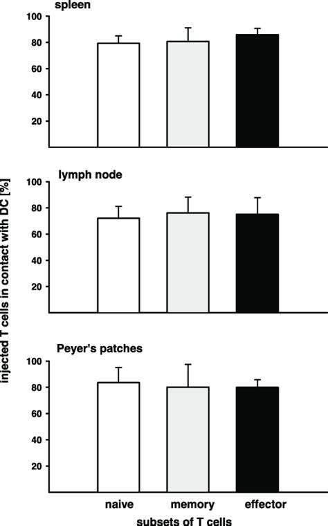 Naive Effector And Memory Cd4 T Cells Do Not Differ In Their Contact