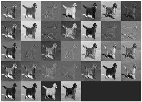 Neural Networks Does Mathematica V11 Experimental Code Support State Of Art Models