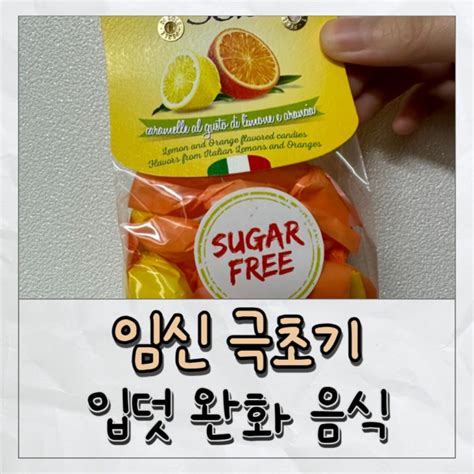 임신 극초기 입덧 증상 완화 음식 기록 네이버 블로그