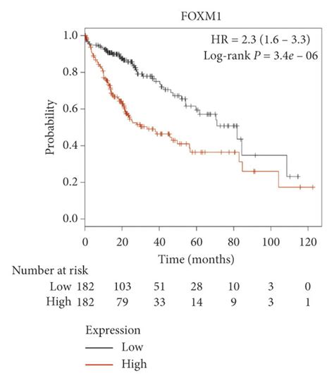 Overall Survival Analysis And Roc Curve Analysis Of The Top Five Hub