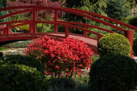 სსიპ ბათუმის ბულვარი სიახლეები