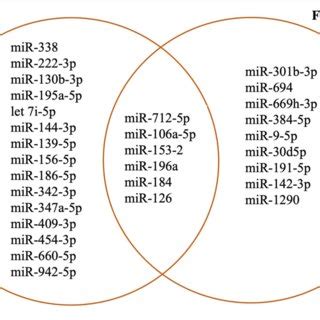 Sex Difference In Biomarkers Of Type 2 Inflammation Comparing Male And Download Scientific
