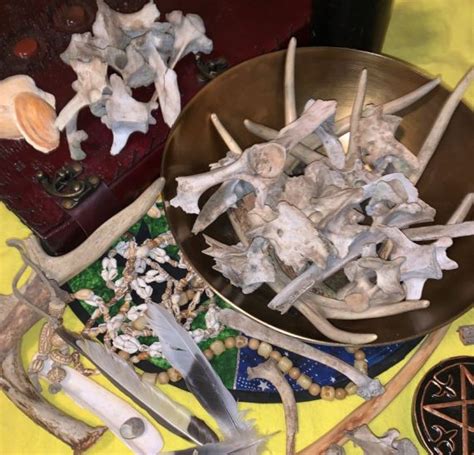 Bone Magick The Use Of Bones In Witchcraft Divination And Spellwork