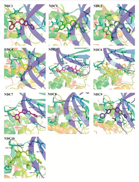 Figure 1 From Combined 3d Qsar Molecular Docking And Dynamics