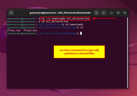 How To Copy Directory Linux 4 Best Methods
